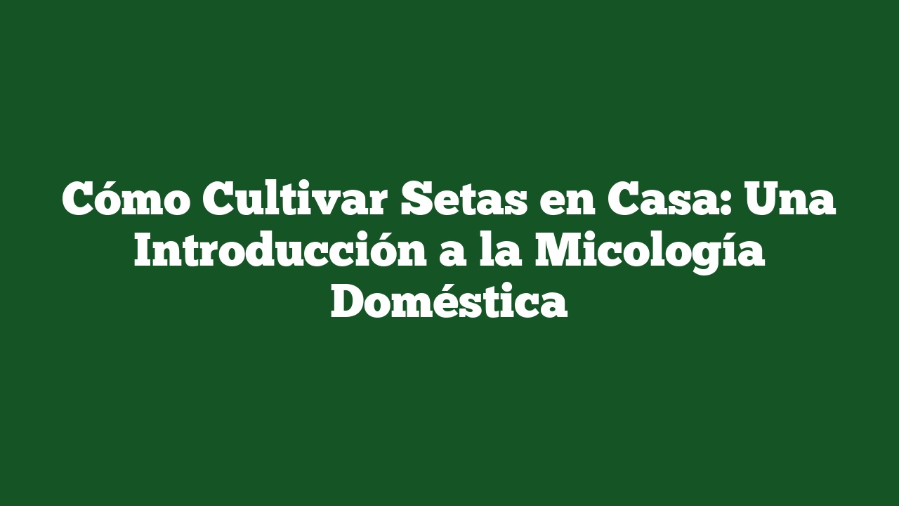 Cómo Cultivar Setas En Casa: Una Introducción A La Micología Doméstica - SostenibilidadAmbiental