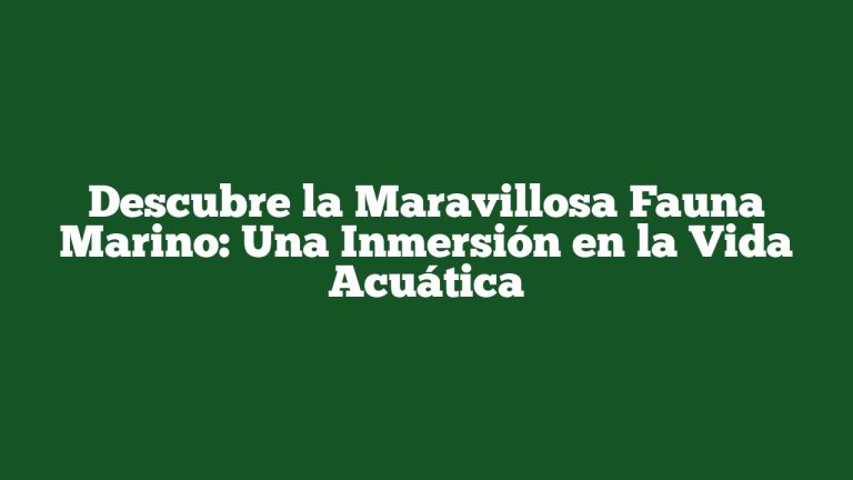 Descubre La Maravillosa Fauna Marino: Una Inmersión En La Vida Acuática ...